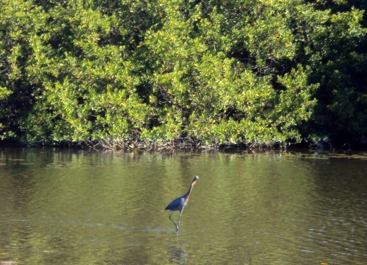 Campamento en Playa Tecuanillo - Campamentos de México